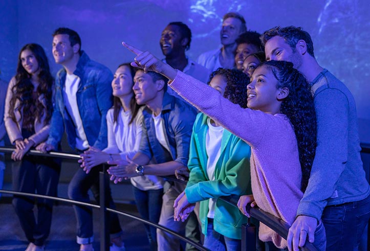 Tickets & Pricing | Flyover in Chicago